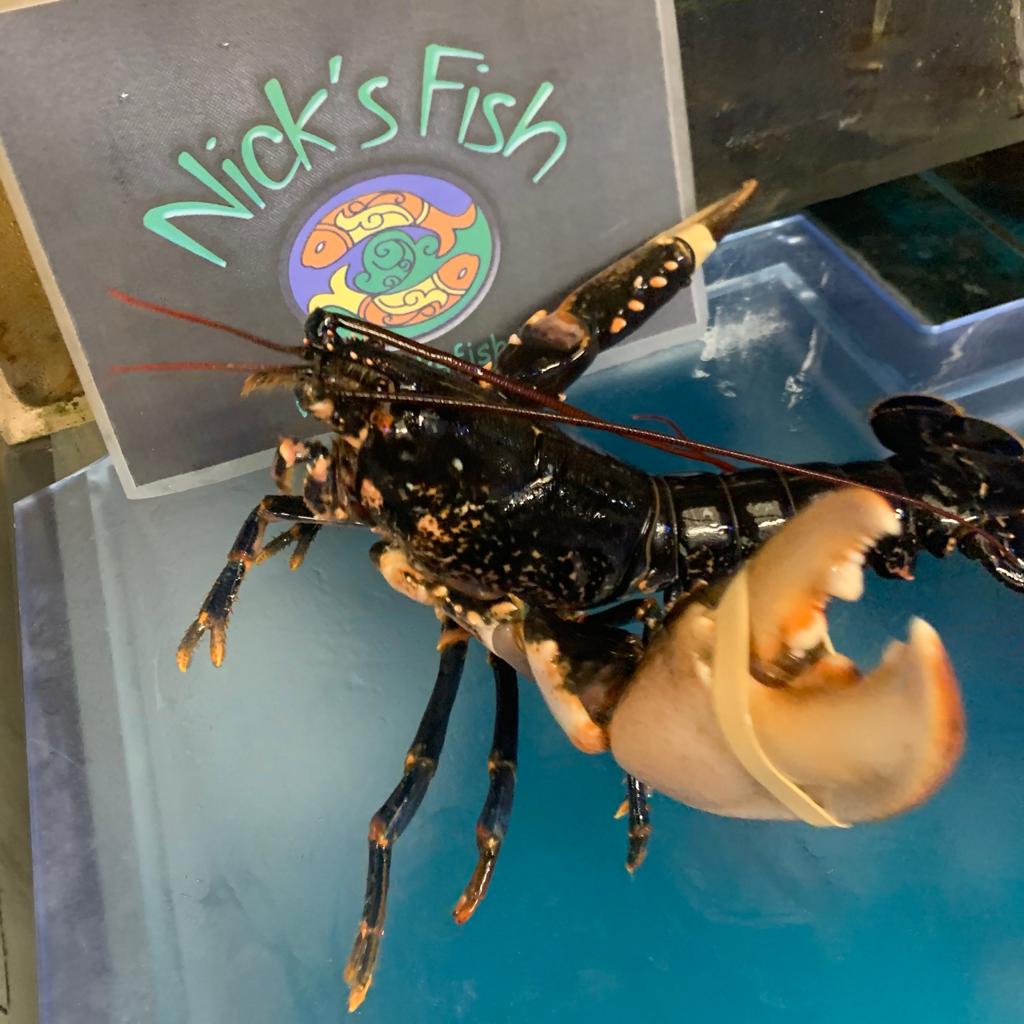 Irish Lobsters x 1 – Nick's Fish Ashbourne