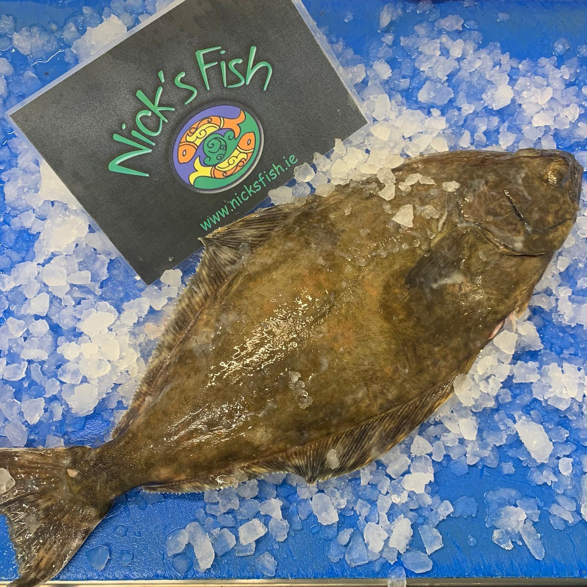 Atlantic Halibut Fillets – Nick's Fish Ashbourne